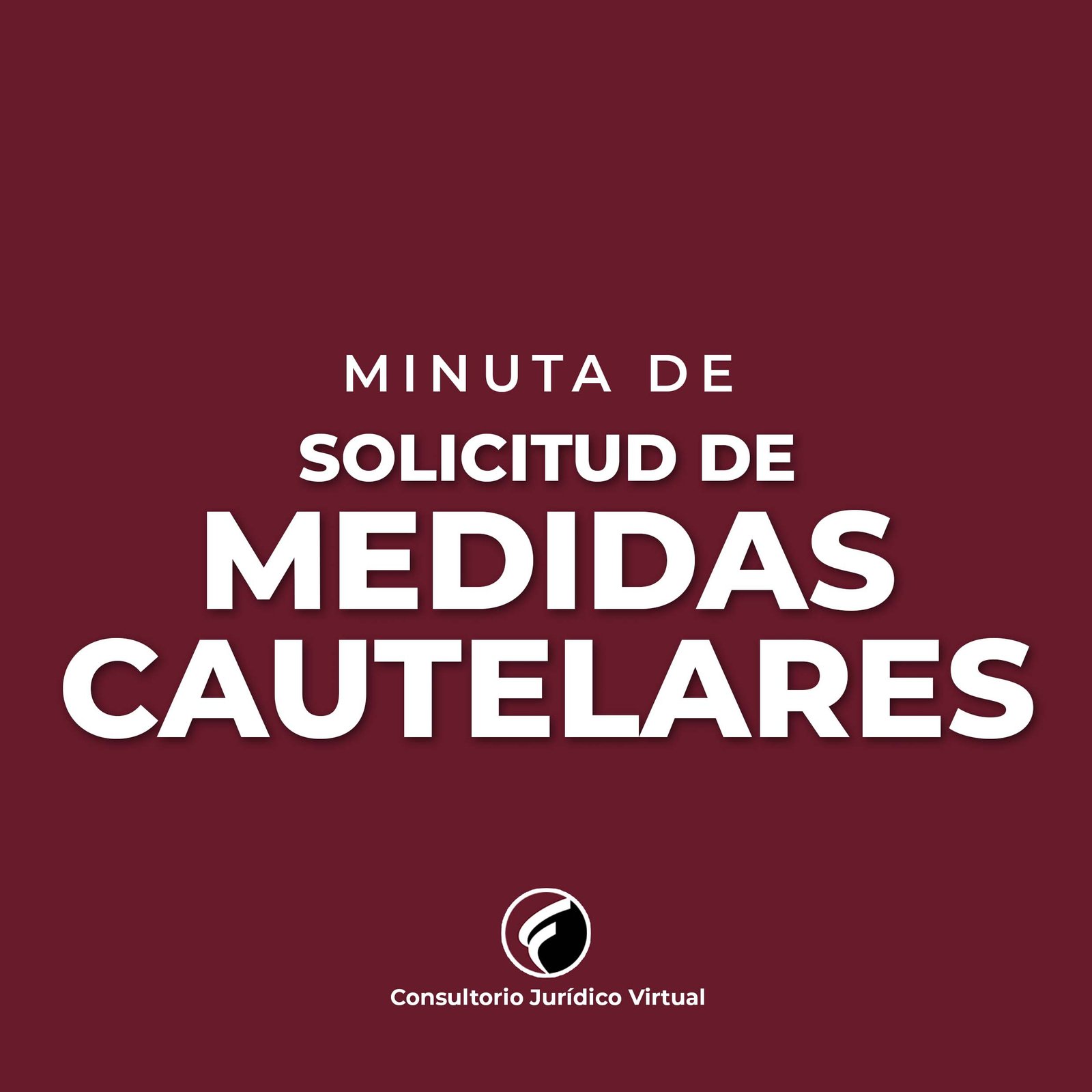 Minuta De Solicitud De Medidas Cautelares Consultorio Jurídico Virtual